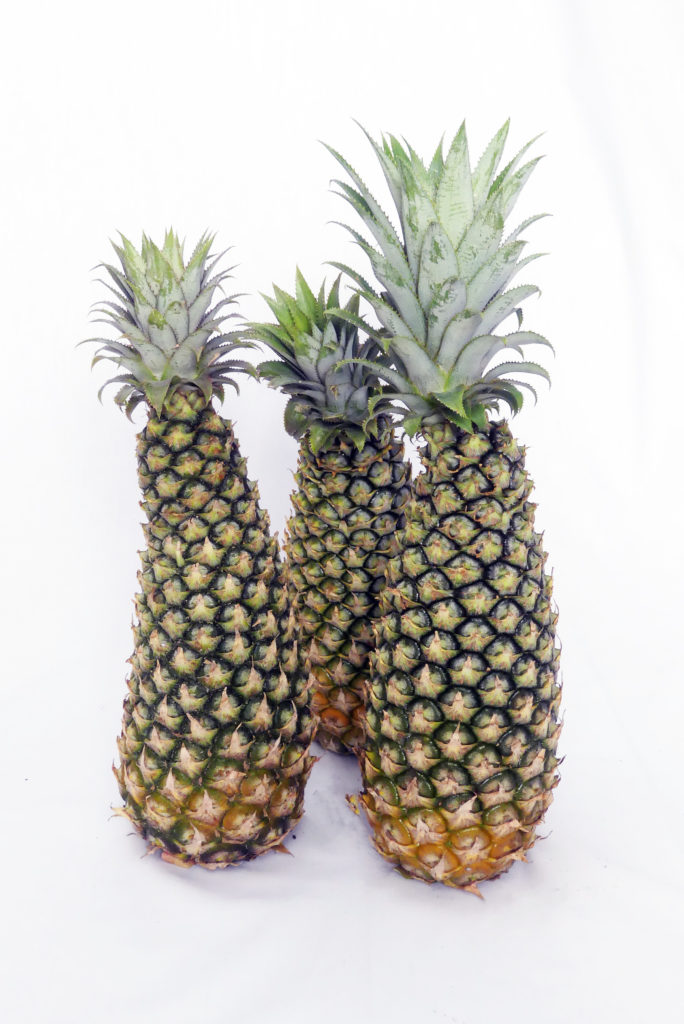 Ananas bouteille - Fortile Primeur